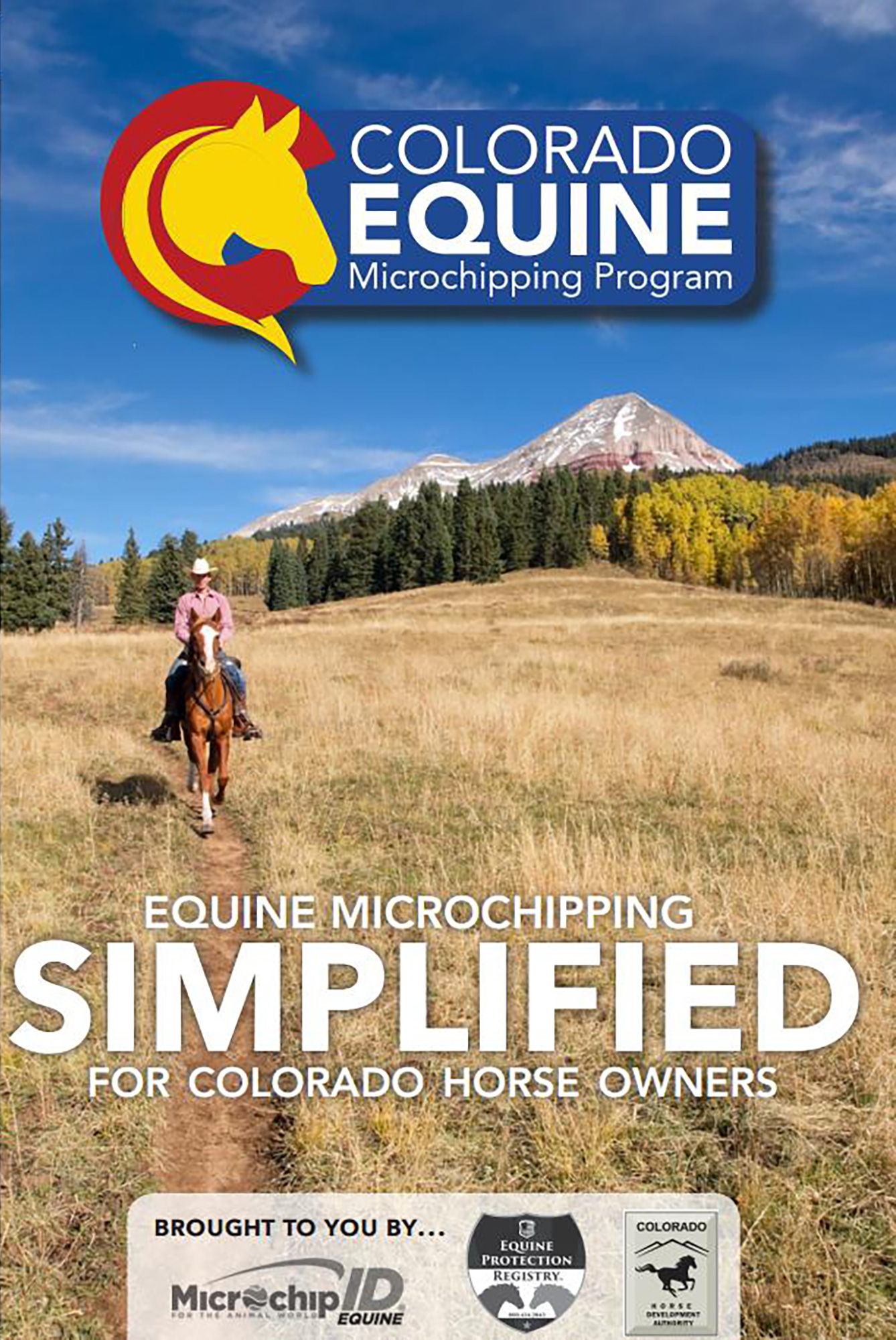 Equine Microchip Program | Colorado Horse Council, Inc.